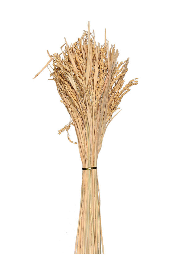 Rustic With Charming Dried Rice Stalks – Natural Rustic Home Décor ...