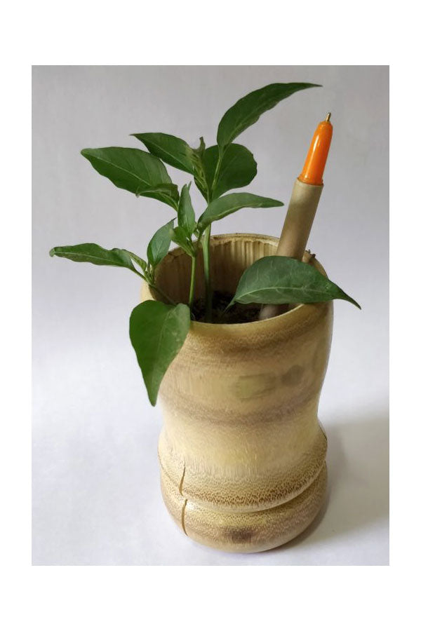 Plantable Seed Pens | Eco-friendly Seed Pens | Plantsworld.ae