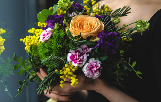 Buy Live Indoor,Outdoor Plants & Fresh Flowers Online, Free Delivery ...