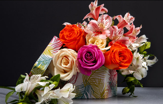 Buy Live Indoor,Outdoor Plants & Fresh Flowers Online, Free Delivery ...